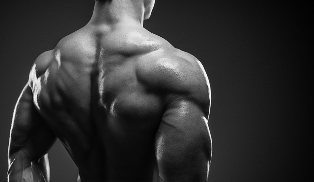 Identify and eliminate your shoulder problems - Tom Morrison