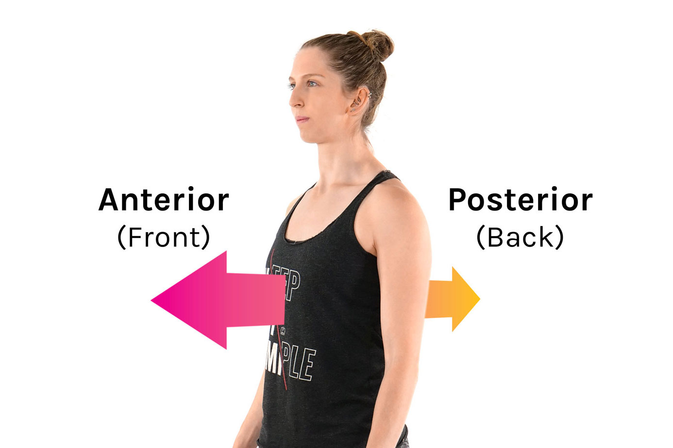 These Are The Anatomical Directional Terms You Should Know